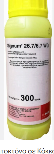 Signum WG Μυκητοκτόνο σε Κόκκους 300gr – crestagro