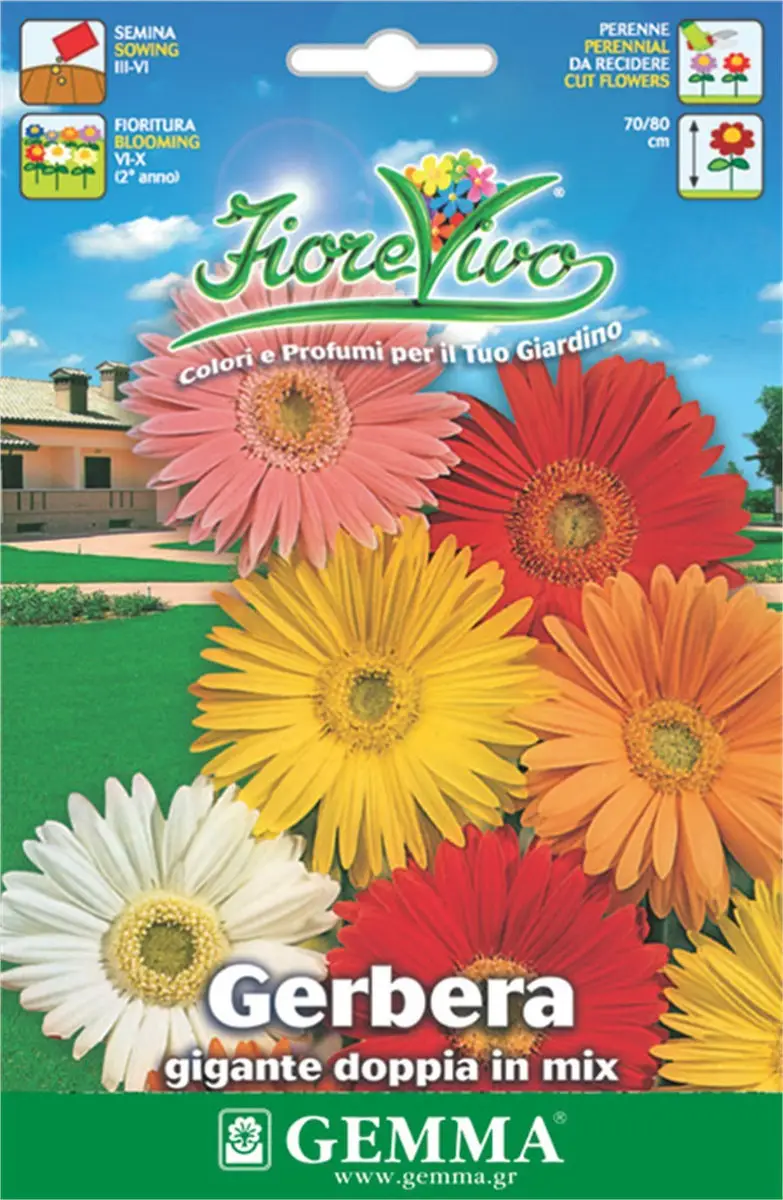 Gemma Σπόροι Ζέμπερας 5gr - crestagro