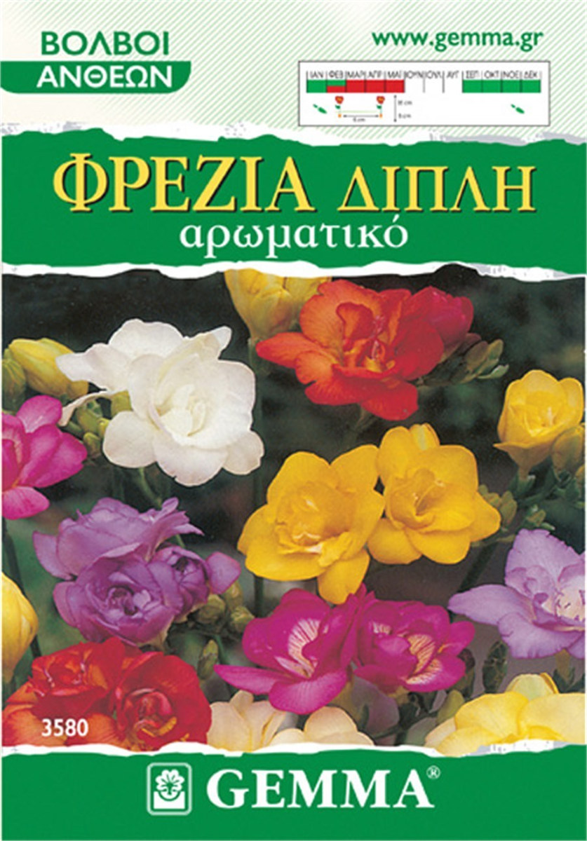 Gemma Βολβoί Φρέζιας 7τμχ – crestagro